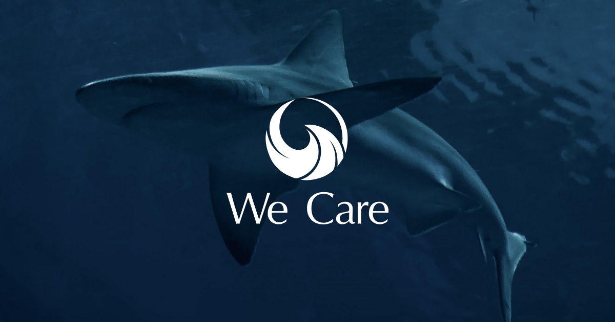 We Care